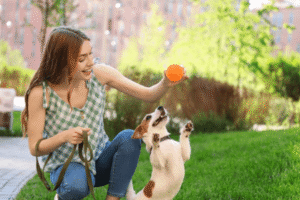 Dog Body Language Boise | All Dogs Unleashed